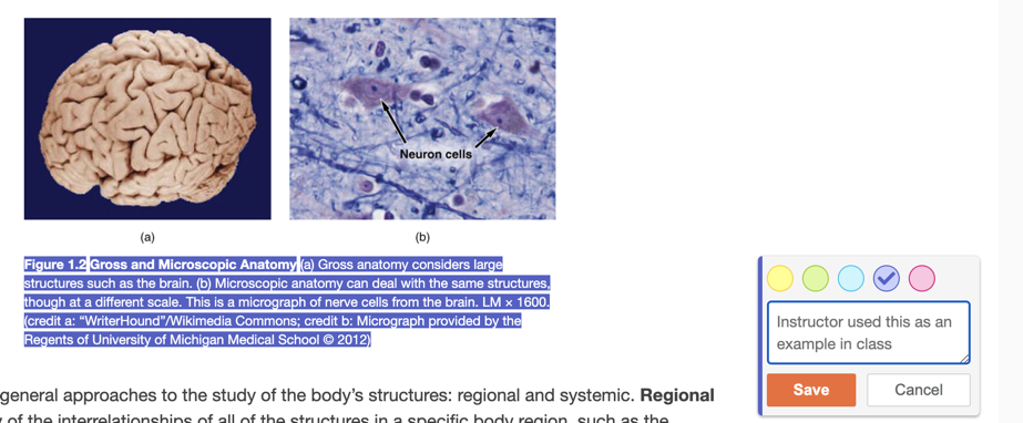 Creating highlights and adding notes on desktop and laptop